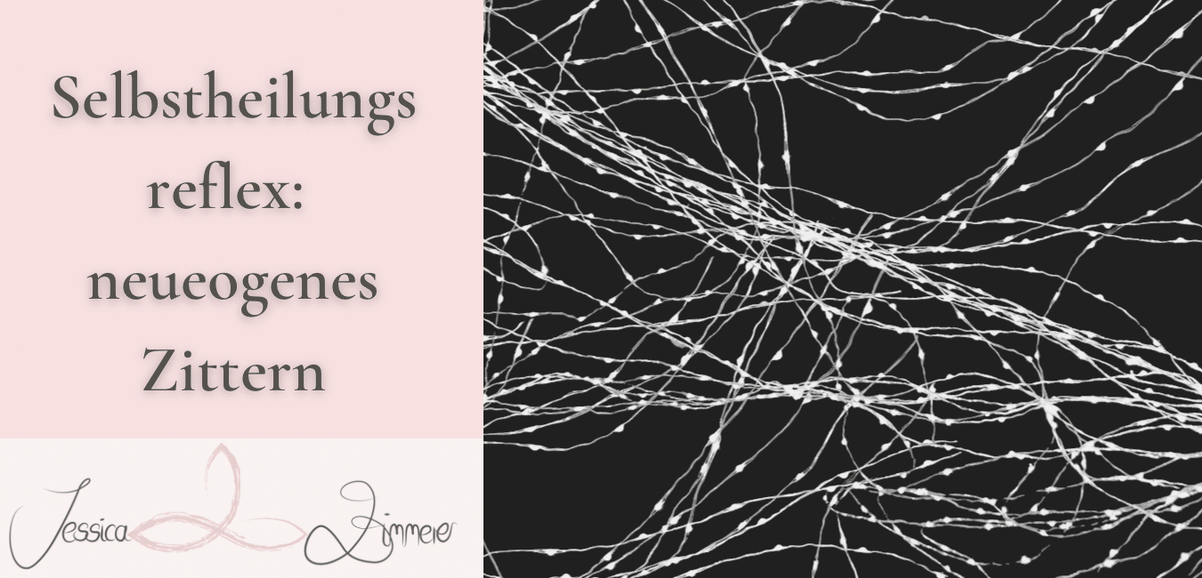 Der Selbstheilungsreflex: neurogenes Zittern - Jessica Zimmerer